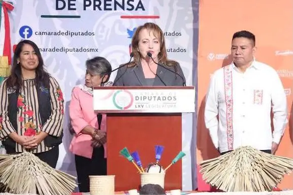 diputada priista maria elena serrano promueve la feria de los moles en ...