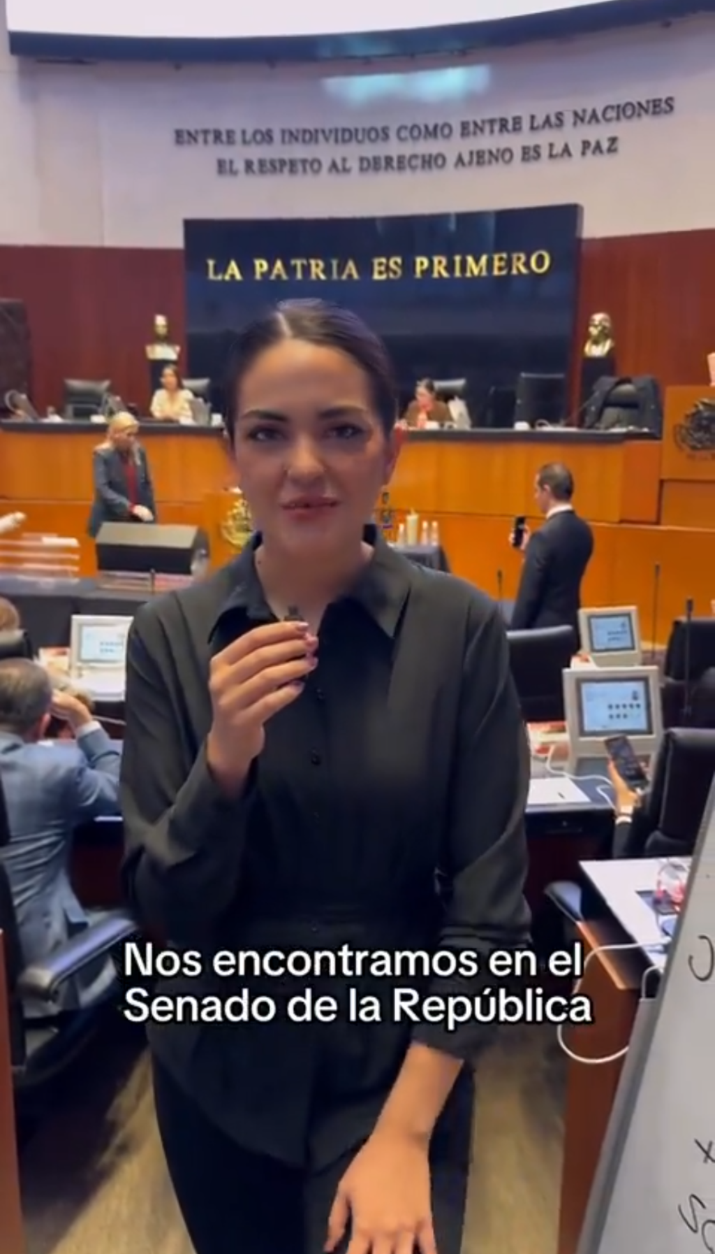 Andrea Chávez Senadora explica cómo se Aplica la nueva Reforma Judicial ...
