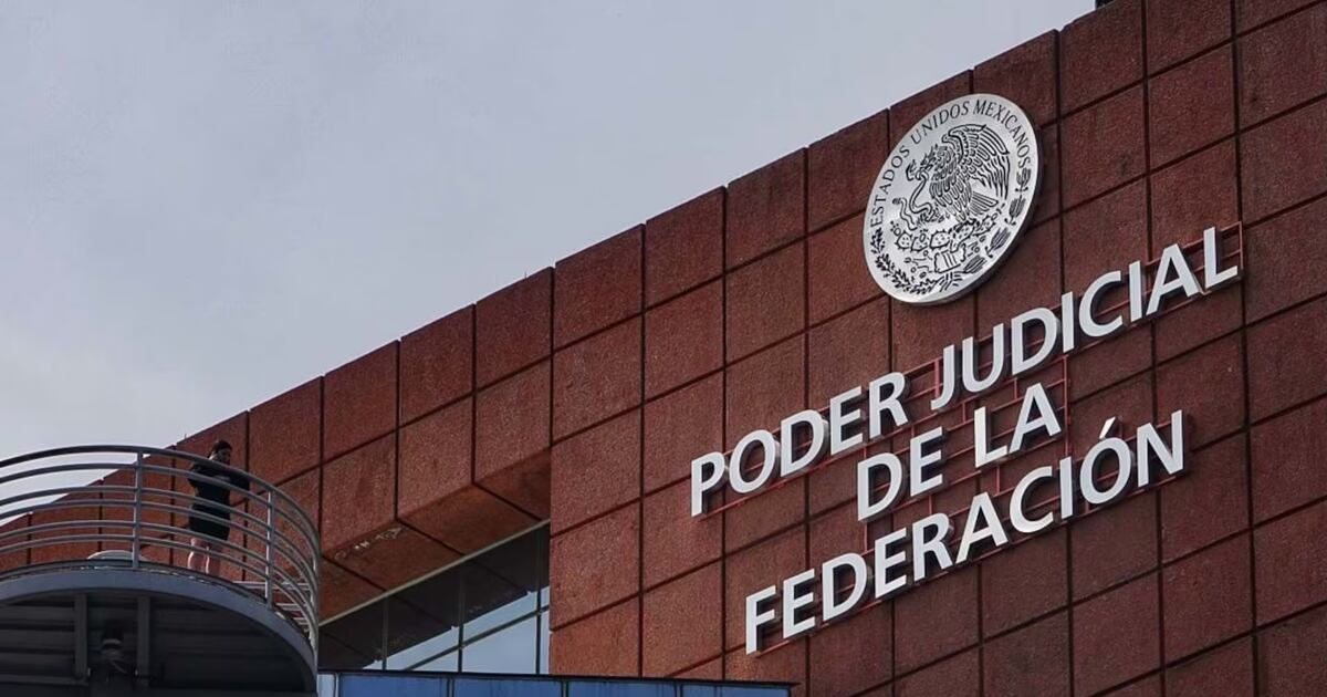 Empresarios denuncian extorsión desde nuevo PJF para obtener una ...